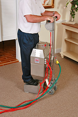 Extreme Extractor